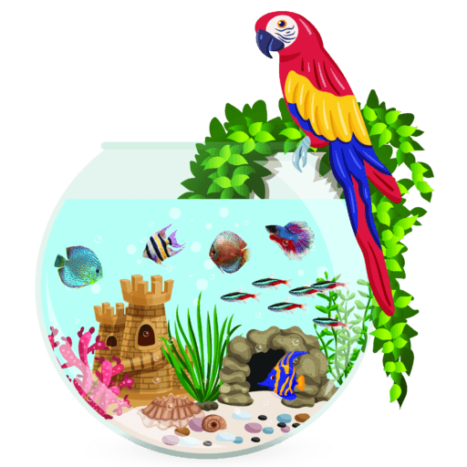 Kennel – World of Birds pet and Aquatic pet store